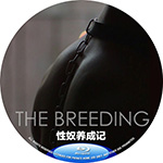 性奴养成记（2018年由Daniel Armando在美国执导的一部色情惊悚电影。讲述了一位年轻艺术家对禁忌恋物癖的痴迷导致了改变生活的后果。） The Breeding (2018) _12 ...